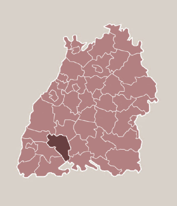 Schwarzwald-Baar-Kreis - Schlösser. Burgen. Ruinen.