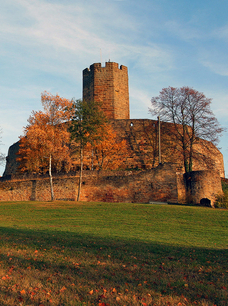 Burg Steinsberg - Schlösser. Burgen. Ruinen.