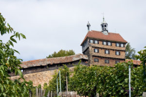 Esslinger Burg - Schlösser. Burgen. Ruinen.