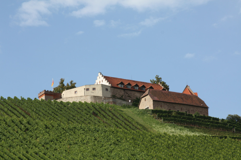 Burg Staufenberg - Schlösser. Burgen. Ruinen.